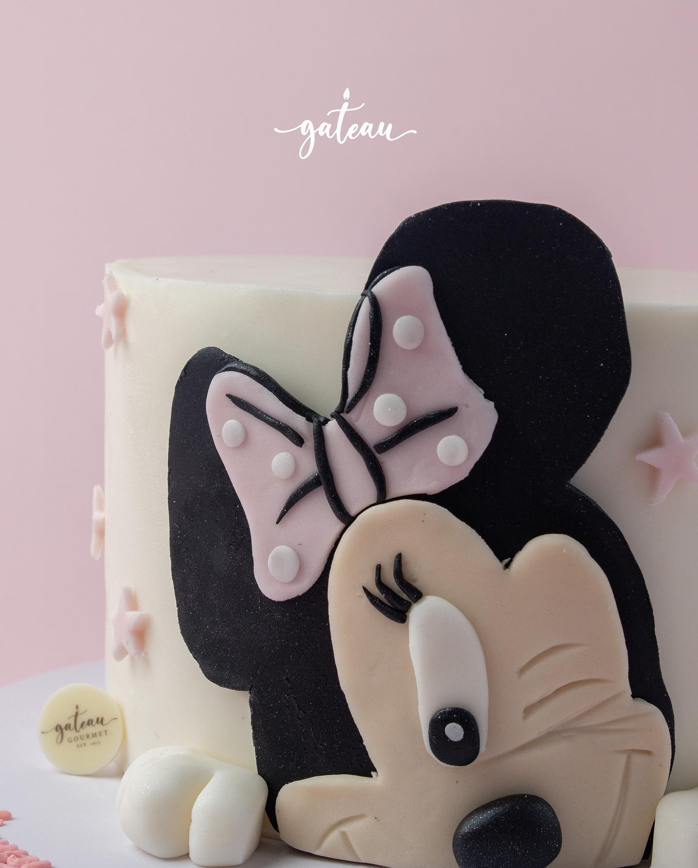 Minnie Mouse Cake Design for Her Special Celebration | Gateau Gourmet Cafe