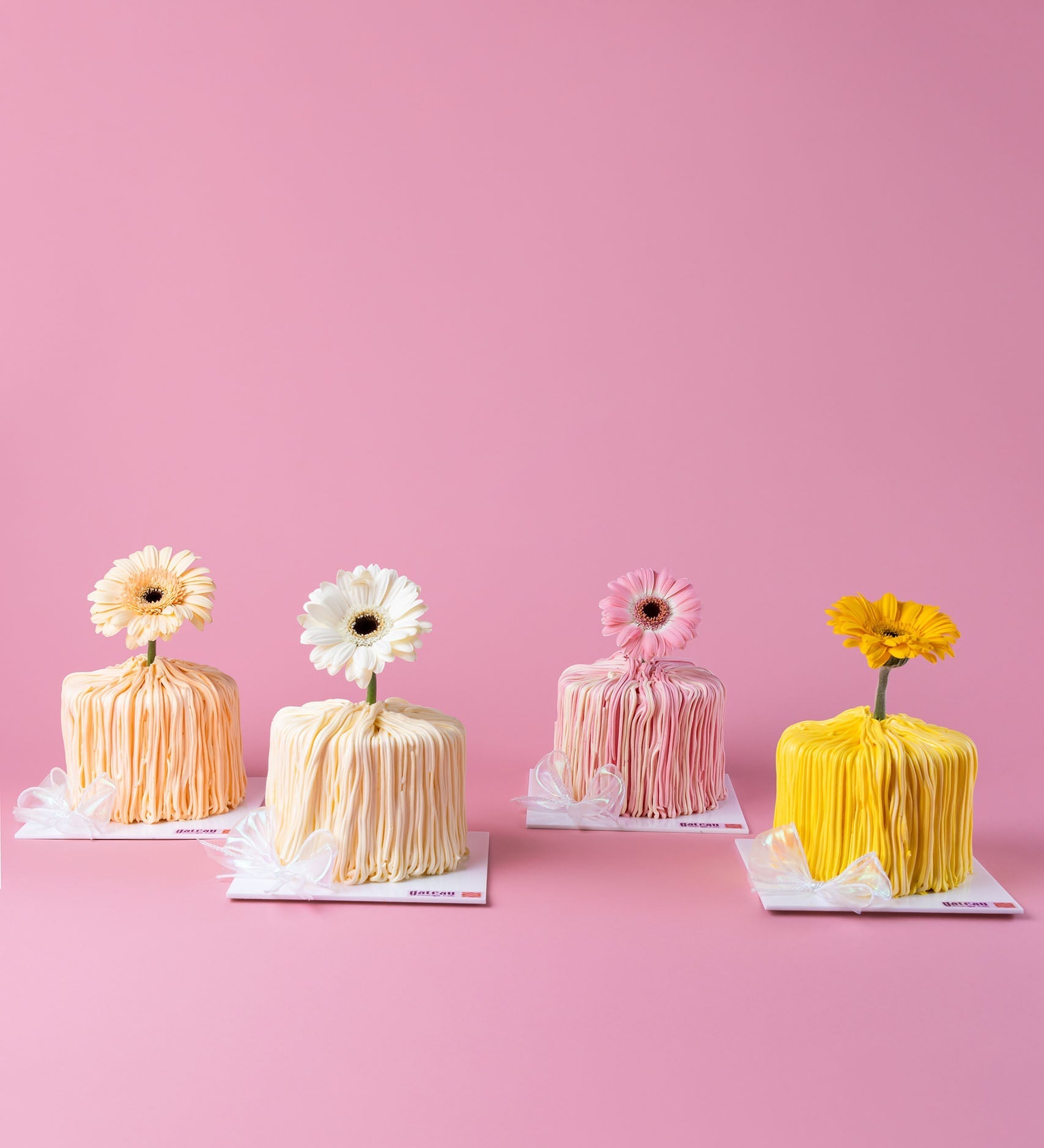 Mini Cake with Fresh Gerbera Flower Birthday Cake | Gateau Gourmet